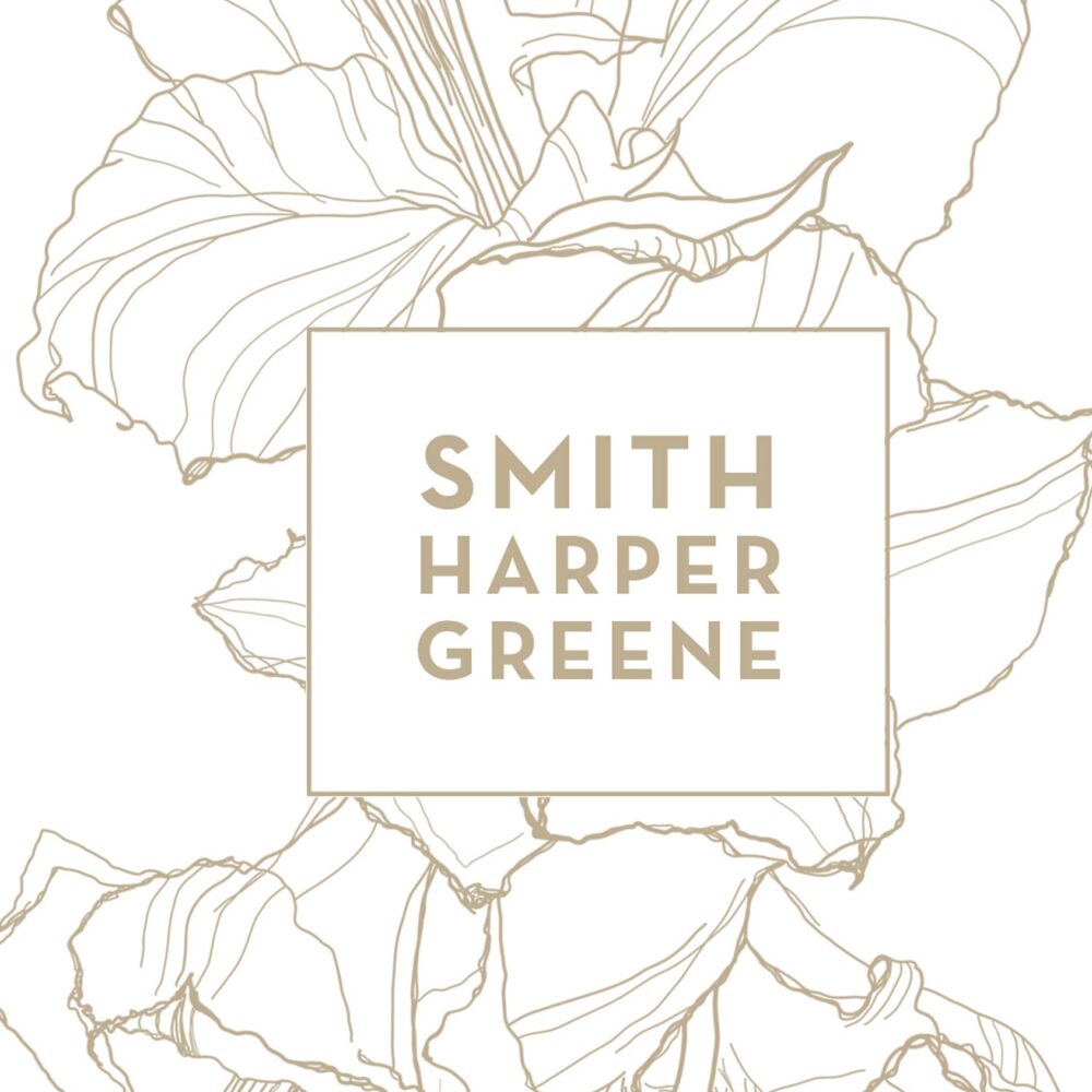 Primary Theory – Branding & Design Studio | Cut Through The Noise